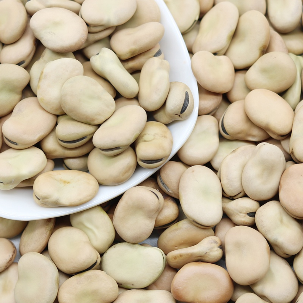 Green Broad Beans – Habas Verdes 500g – Nature Hunter